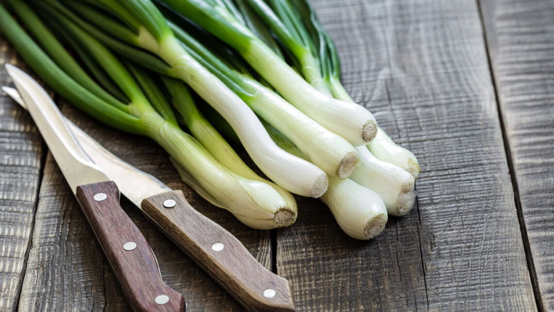 Confira os métodos corretos para ter um cultivo prospero e saudável de ...