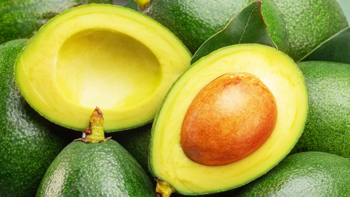 Não jogue fora a casca do abacate: ela é ouro verde para você e sua ...