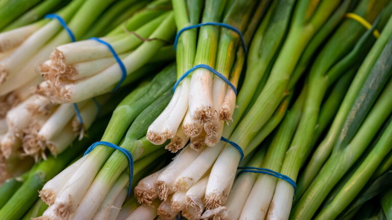 Como conservar cebolinha fresca por mais tempo sem perder sabor e cor ...