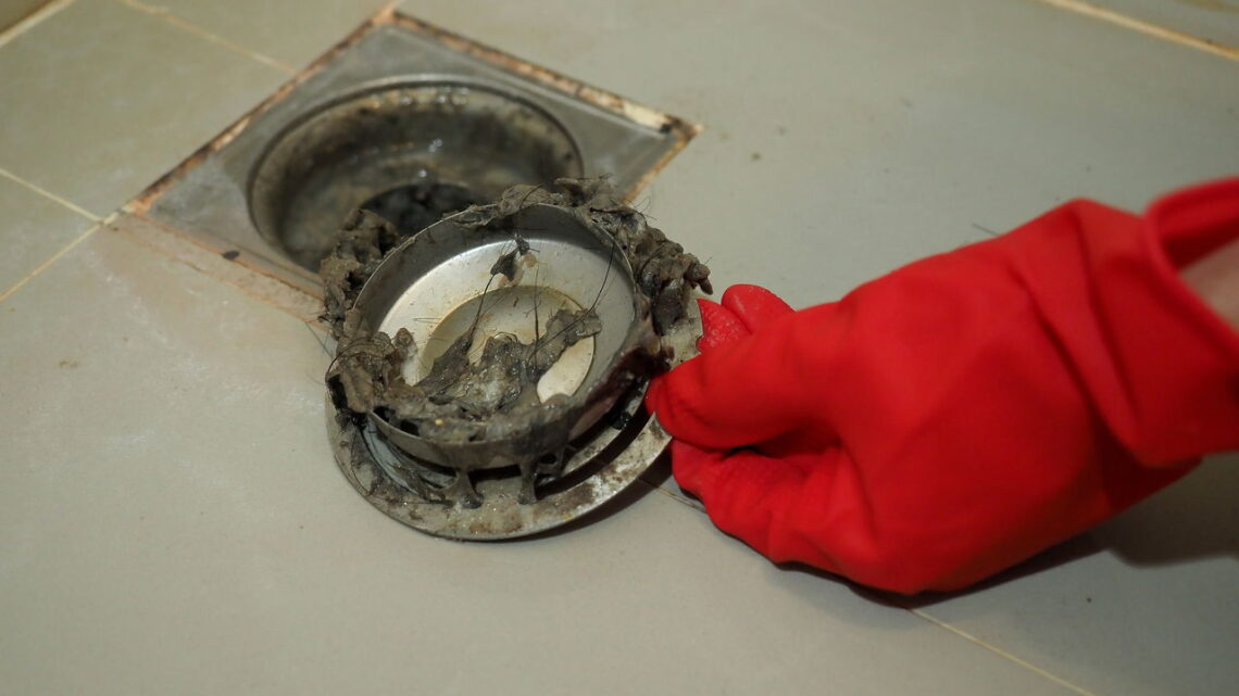 Por que surgem larvas nos ralos e como eliminá-las definitivamente da ...