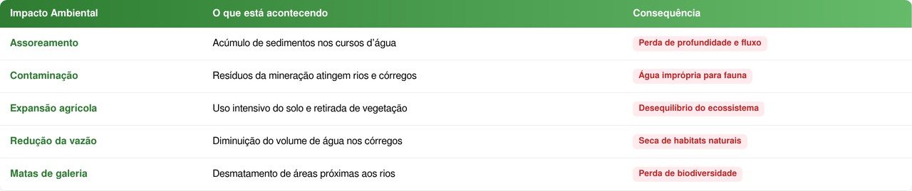 Perereca inédita no Cerrado vive em apenas duas áreas e preocupa ...